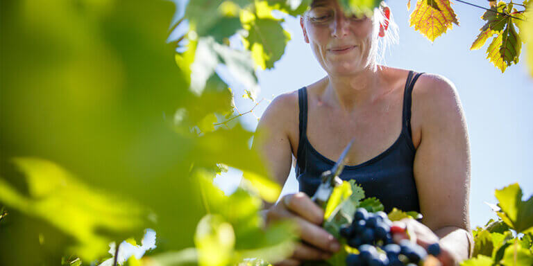 La Ramoneta of the Month – Isla Gordon - La Ramoneta